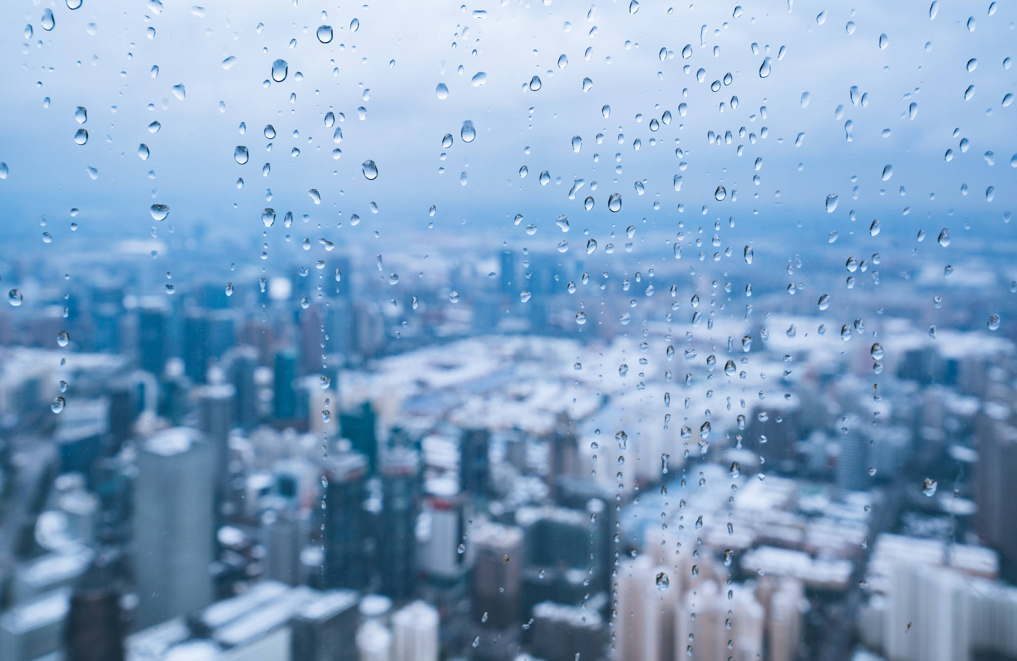 Le climat à Shanghai : Ce qu'il faut savoir avant de partir