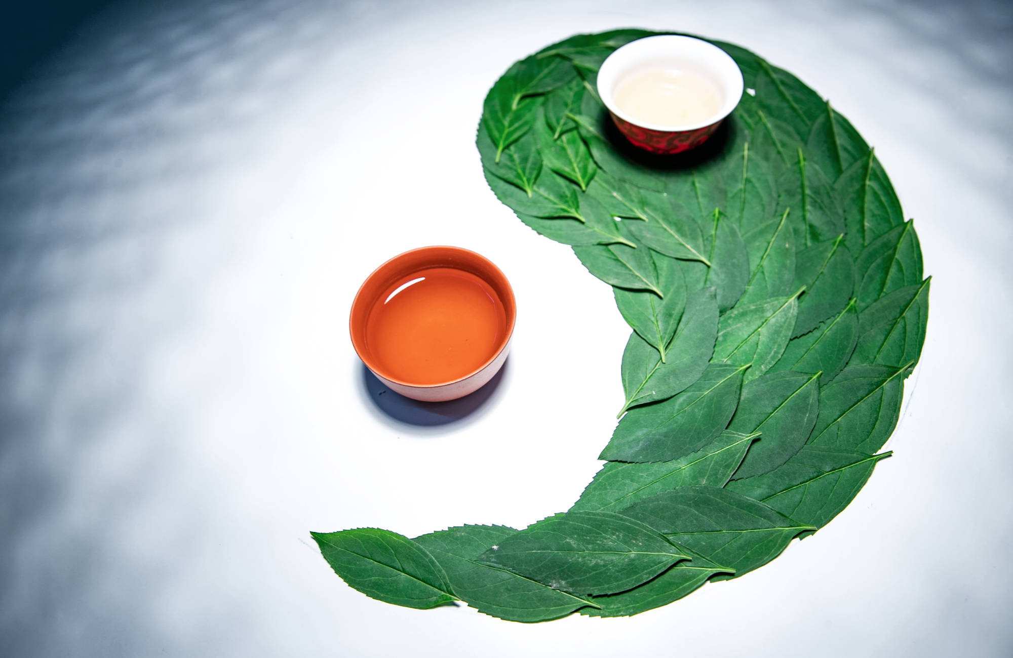 Comprendre le Yin et le Yang dans la médecine chinoise